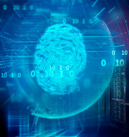 Home [frilinglaw.com]